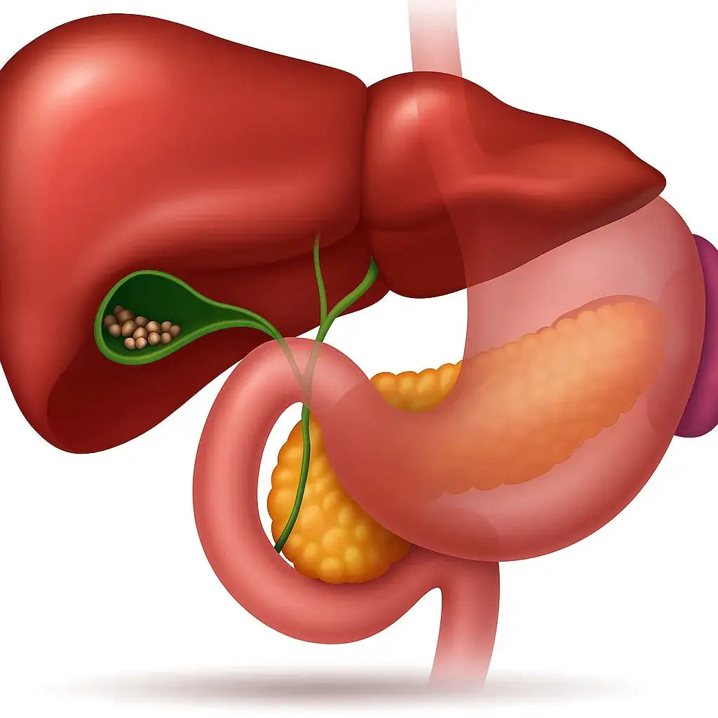 Understanding Gall Stones: Causes and Treatments – Tagged "Online ...