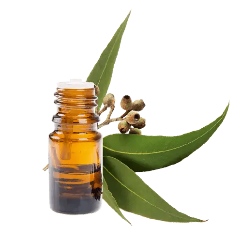 Tea Tree Oil Products – Acne Treatment, Skin Healing & Purifying ...
